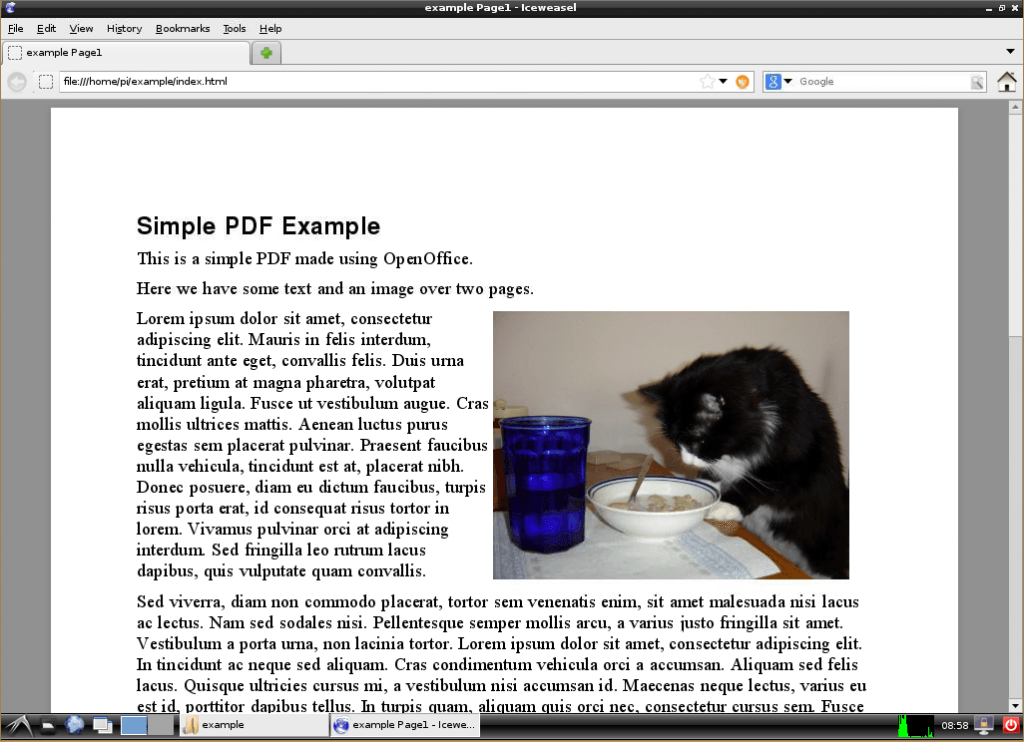 example Page1 converted - Java PDF Blog