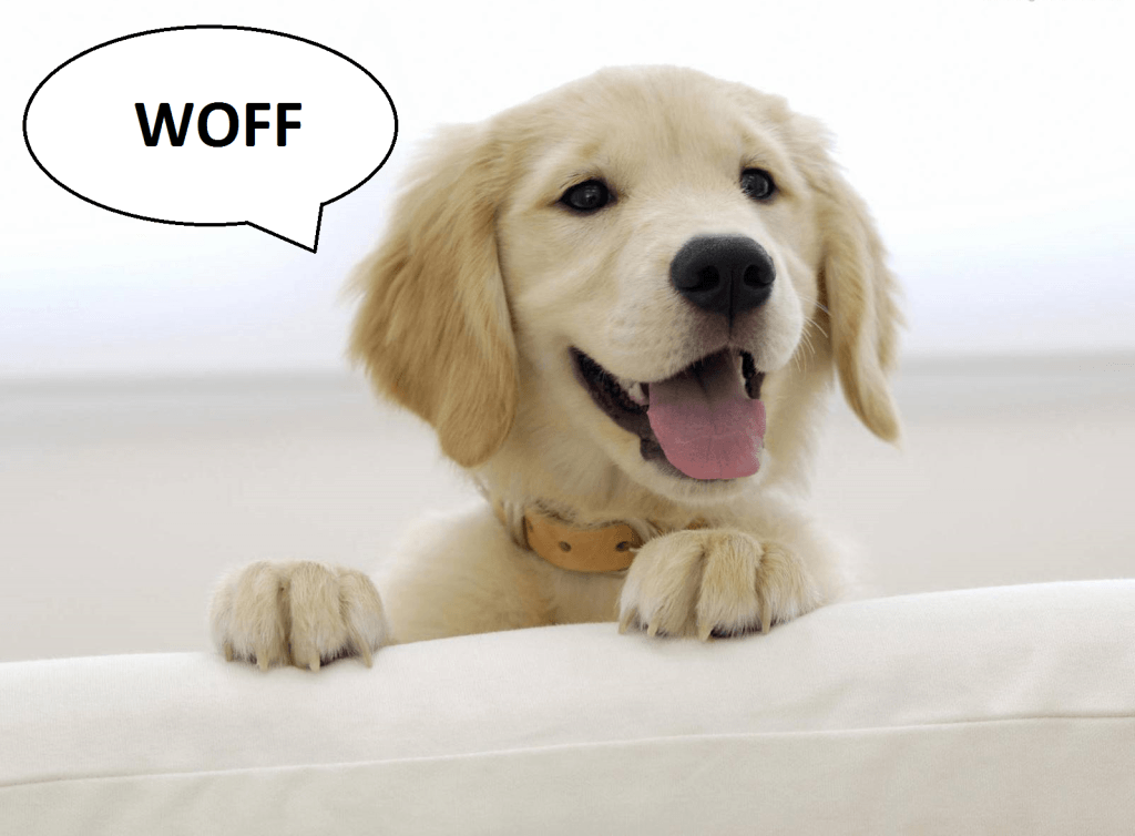 WOFF 2.0: What is it, why is it coming, and what's next?