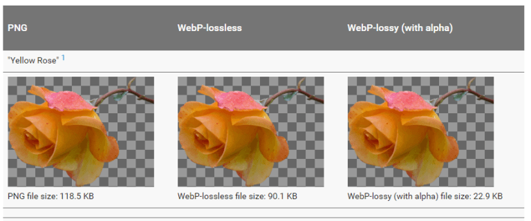 What is a WebP file?