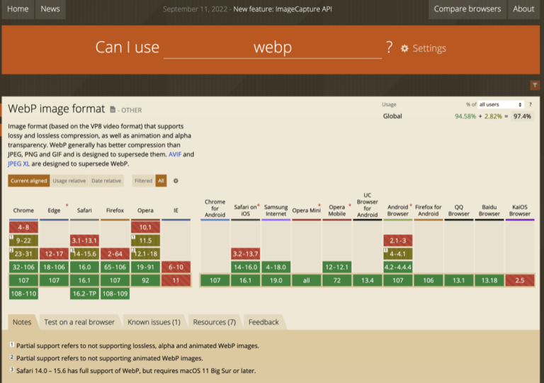 What Image, Video and Audio formats are supported in your Web Browser